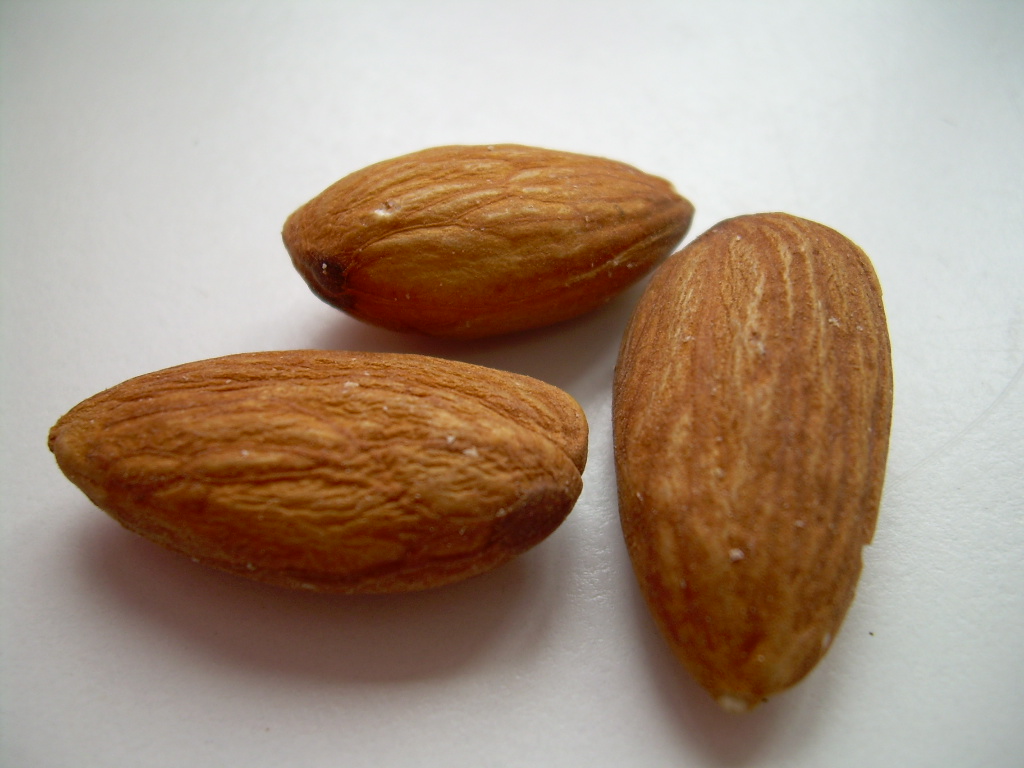 Beware Of Almonds, GI Sisters and Brothers (Part I) - Mary Fons
